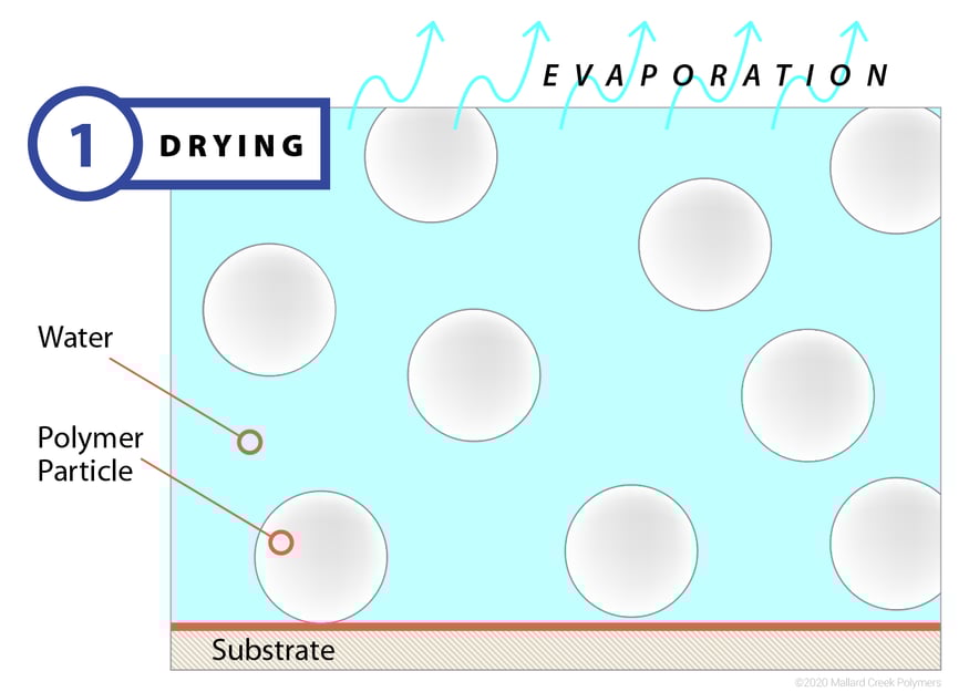 Film Formation of Latex Binders: What You Need To Know