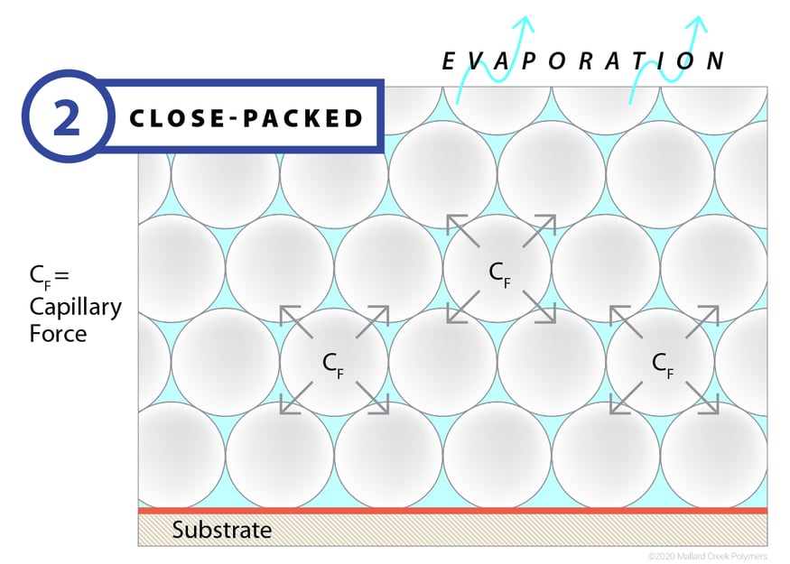 Film Formation of Latex Binders: What You Need To Know