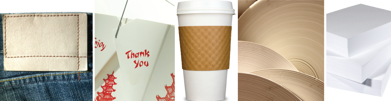 Polymers for Paper | Mallard Creek Polymers